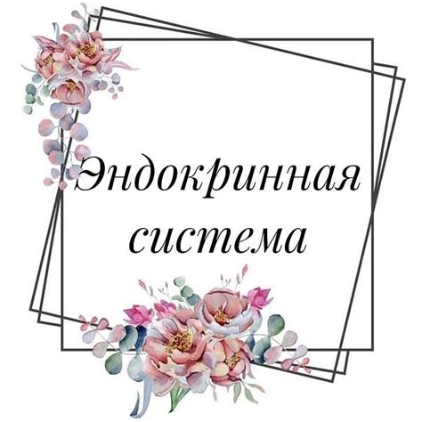 Аниса Эндокринная система крайне важна для нормальной