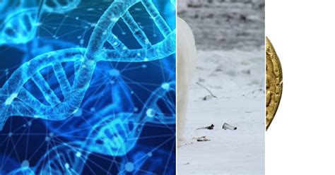 List Isis Neutron And Muon Source Isis Curated By Science And Technology Facilities Council