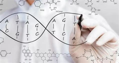 浅谈实验室常用大肠杆菌培养基 哔哩哔哩