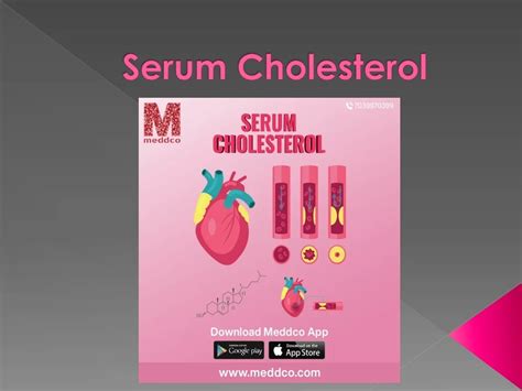 Ppt Serum Cholesterol Powerpoint Presentation Free Download Id 10909406