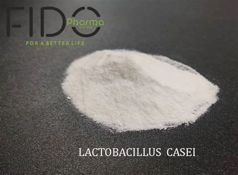 Lactobacillus Casei At ₹ 800 Kg Panchkula Id 22807014348