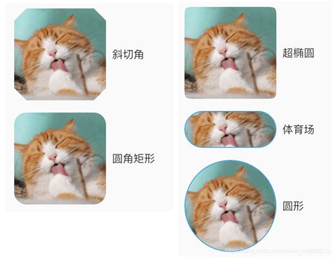 Flutter 图片显示方式及显示样式圆形或圆角flutter 圆形图片 Csdn博客