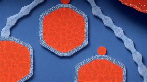 What Ai Tools Are Revolutionizing Early Disease Detection 2024