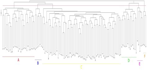 dendrogram derived from cluster analysis of 120 barley genotypes based
