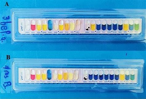 Showing Suspected P Fluorescens On Api 20e Strips Download Showing Suspected P Fluorescens On Api 20e Strips Download