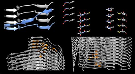 Structural Features Of The N Terminal Region Of Tdp 43 Lcd Amyloid Download Scientific Diagram