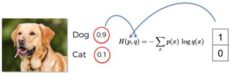 Github Amoazenimachine Learning Image Classification Image