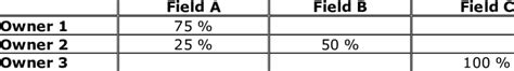 Ownership Matrix Illustrating The Ownership For Owner 1 Owner 2 And