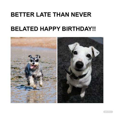 Late Birthday Memes 52 Funny Birthday Memes That Will Make Anyone