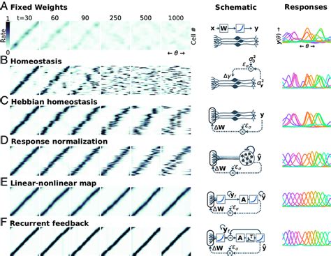Self Healing In A Nonlinear Rate Network Each Plot Shows A Population