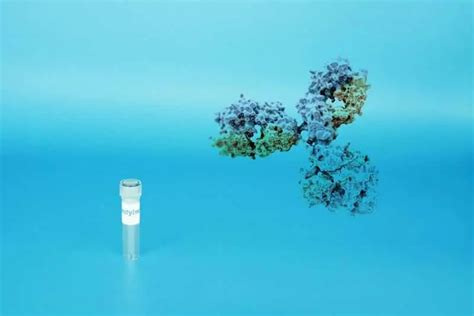 Panitumumab Biosimilar Research Grade Bha18300169