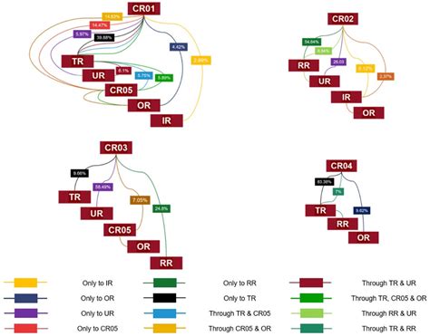 The Third Layer Of Categorization Download Scientific Diagram