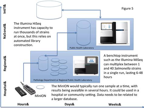 Applications Of Whole Genome Sequencing Wgs To Food Safety