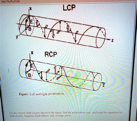 Solved 1mji1nzratall Lcp Em B Rcp B Figure Left And Right