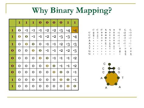 Coding For Dna Computing Combinatorial And Biophysical Aspects