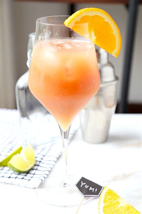 10 Refreshing Diy Summer Party Cocktails For Adults Shelterness