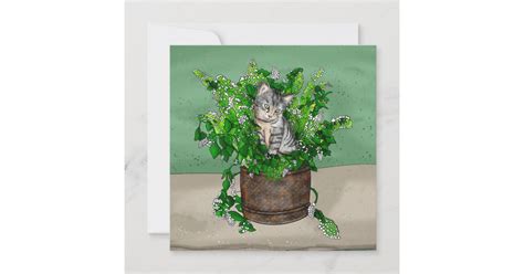 Grey Kitten In Bucket Of Catnip Thank You Card Zazzle
