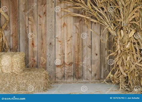 Hay And Corn Stalk Background Stock Image Image Of Architecture Brown 107576793