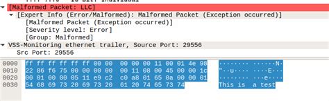 Networking Malformed Ip Scapy Stack Overflow