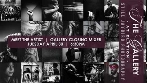 Gallery Closing Mixer Meet The Artist Still Jaybird Photography 5104 Colley Ave Norfolk