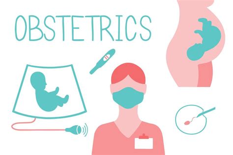 Obstetricia Vectores Iconos Gráficos Y Fondos Para Descargar Gratis