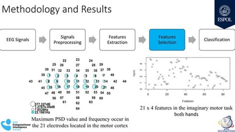 ⭐⭐⭐⭐⭐ Eeg Signal Clustering For Motor And Imaginary Motor Tasks On