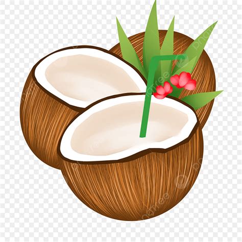 Coconut Clipart Coconut Clipart Etsy