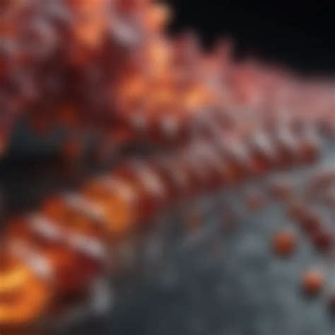 Understanding Igg Antibody Ranges And Their Importance