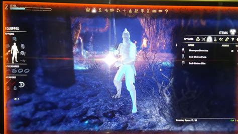 Graphic Glitches — Elder Scrolls Online