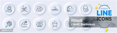 자외선 차단 의료 약품 및 웹 앱용 식물 라인 아이콘 성장 픽토그램 아이콘 벡터 아이콘에 대한 스톡 벡터 아트 및 기타 이미지 아이콘 피부 힘 Istock