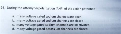 26 During The Afterhyperpolarization Ahp Of The Action Potential Many Voltage Gated Sodium
