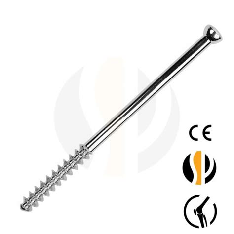 6 5mm Cancellous Bone Screws 32mm Thread Stahlmannpro Ae