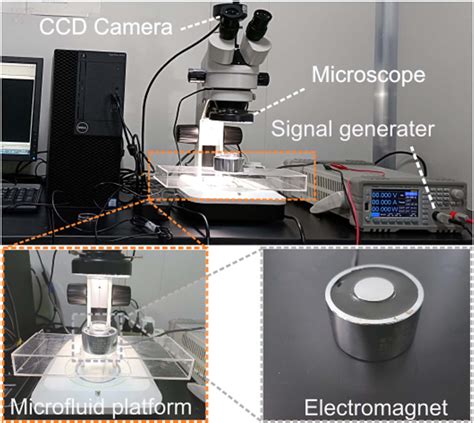 Figure 4 From Model Free Control Of Magnetic Microrobotic Swarm For On Demand Pattern Spreading
