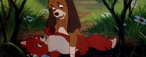 Tod The Fox And The Hound Tod The Fox And The Hound Image By