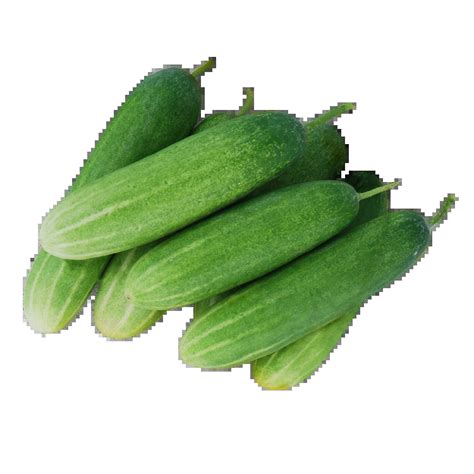 Mentimun Bintang Asia