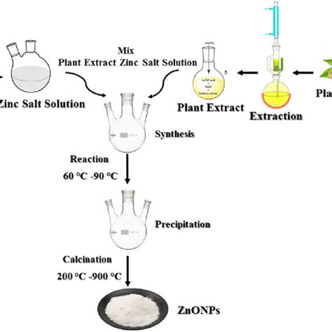 Pdf A Review On Biogenic Green Synthesis Of Zno Nanoparticles By Plant Biomass And Their