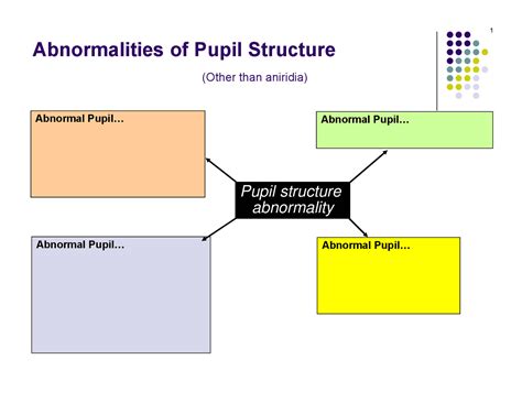 Abnormalities Of The Human Pupil Shape Location Number And Size Exercises Anatomy Docsity