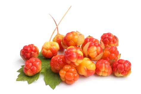 Cloudberry Definition And Meaning Collins English Dictionary