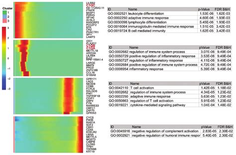 The Pseudotime Related Degs And Functional Enrichment For Each Cluster Download Scientific