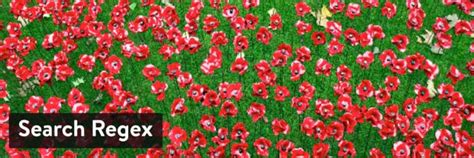 How To Perform A WordPress Search And Replace 5 Methods