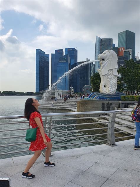 싱가포르 3day 스위소텔 더 스탬포드 조식 후기 머라이언 공원 레인보우 경찰서 송파바쿠테 마리나베이샌즈쇼핑몰 바샤커피 네이버 블로그