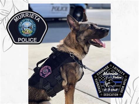 Beloved Murrieta K9 Officer Dies Police Department Mourns Murrieta