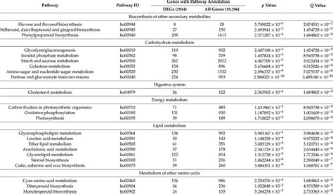 Statistical Enrichment Analysis Of Kyoto Encyclopedia Of Genes And