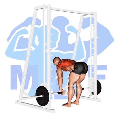 Smith Machine Bent Over Row Alternative At Gerald Maurer Blog