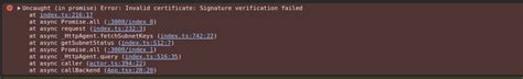 Signature Verification Failed When Using Vite React Developers