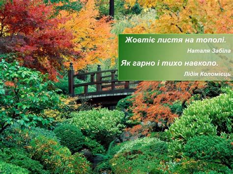 Презентація Тренажер з української мови 4 клас