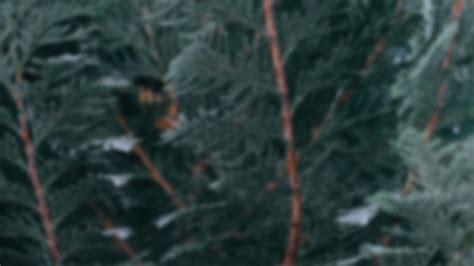 Welkom Bij Ekris Mini Jouw Officiële Mini Dealer Ekris Mini