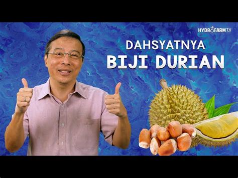 Ketahui 6 Manfaat Biji Durian Rebus Yang Wajib Kamu Ketahui Discover News