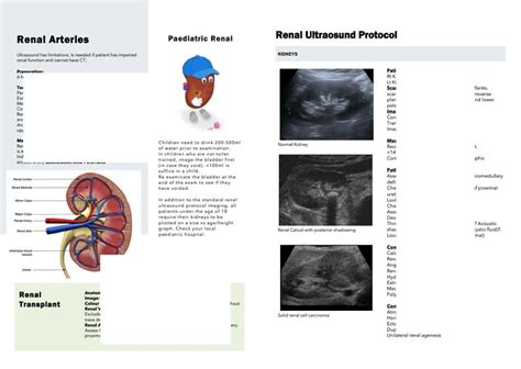 Renal Ultrasound Protocol And Scanning Guide Etsy