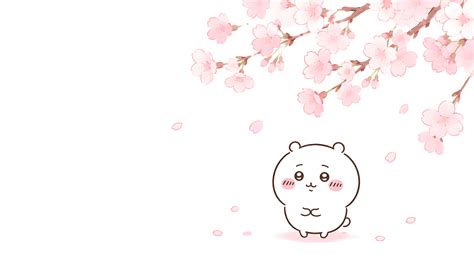 【4k High Quality】chiikawa Desktoppc Wallpaper Background Image Free